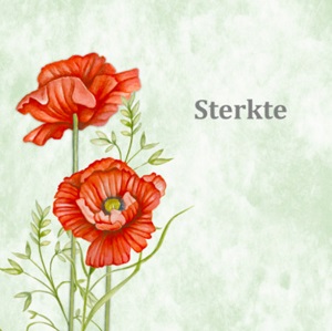 Condoleance teksten Duits. Duitse teksten om te condoleren.