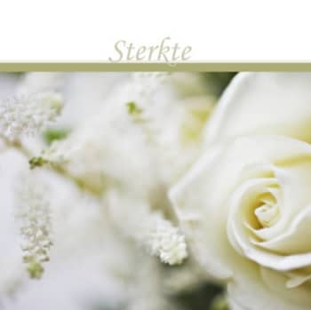 Condoleance teksten zakelijk. Zakelijke teksten om sterkte te wensen.